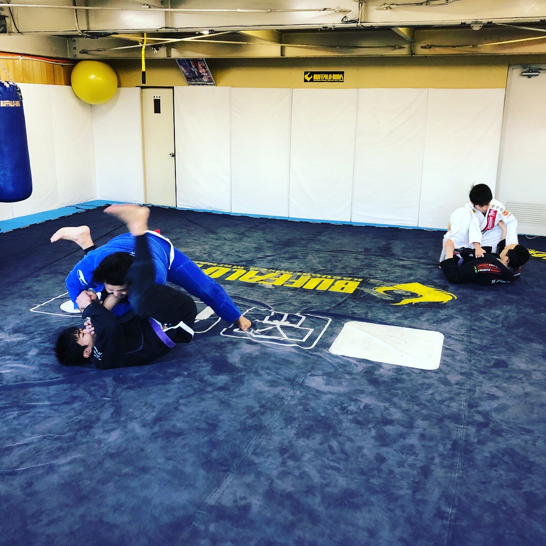 年始の練習風景 | 総合格闘技 BUFFALO-MMAスポーツジム