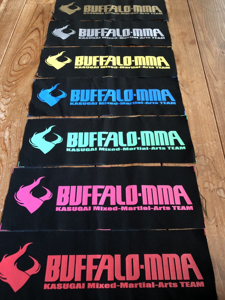 総合格闘技 BUFFALO-MMAスポーツジム