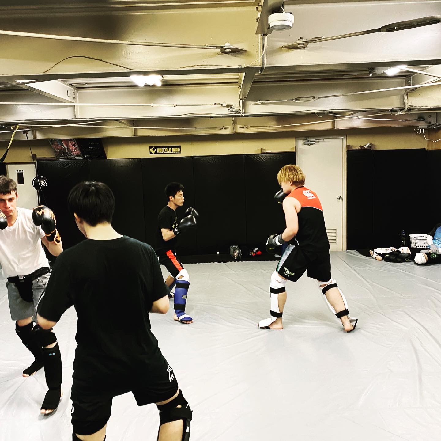 打撃とグラップリング | 総合格闘技／ブラジリアン柔術 BUFFALO-MMAスポーツジム